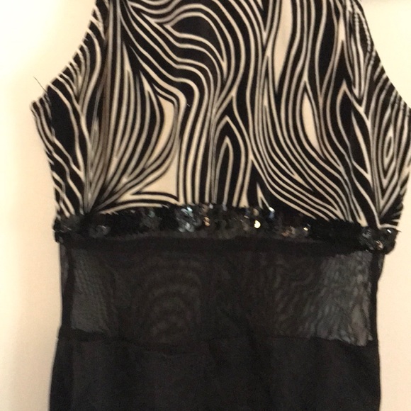 Curtain Call | Costumes | Zebra Print Velvet Dance Costume | Poshmark